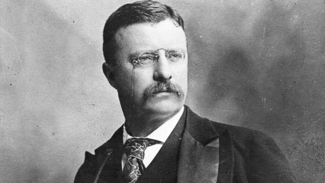 Theodore Roosevelt’s Progressive Era Reforms: The 26th President’s ...
